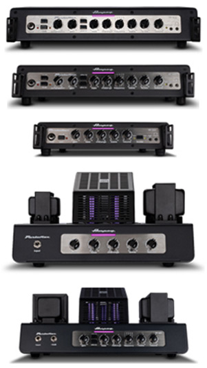 Ampeg :: Bass Heads